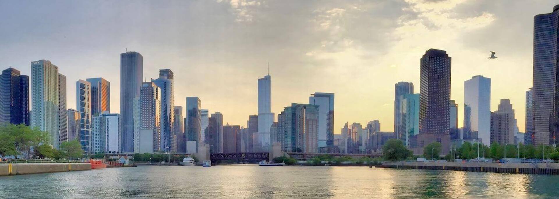 Knock Out Charters - Knock Out Charters